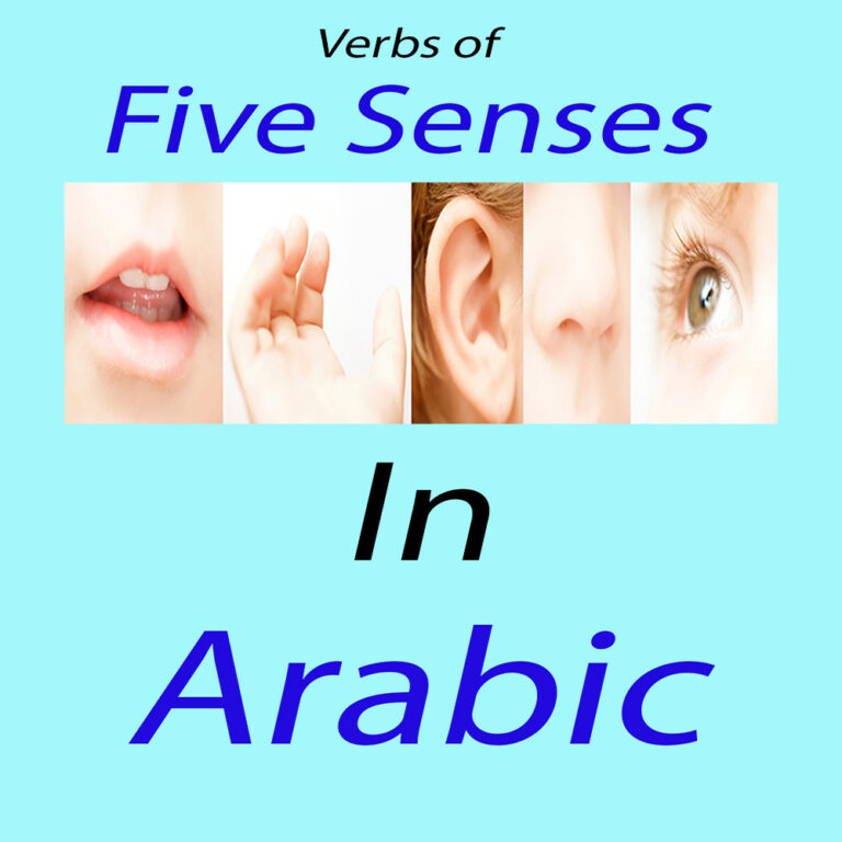 Arabic Vocabulary pdf - Verbs of 5 Senses In Arabic - Live It Smart