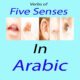 Arabic Vocabulary pdf - Verbs of 5 Senses In Arabic - Live It Smart